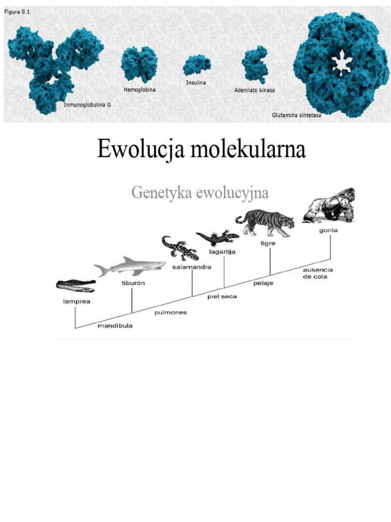Ewolucja Molekularna | PDF