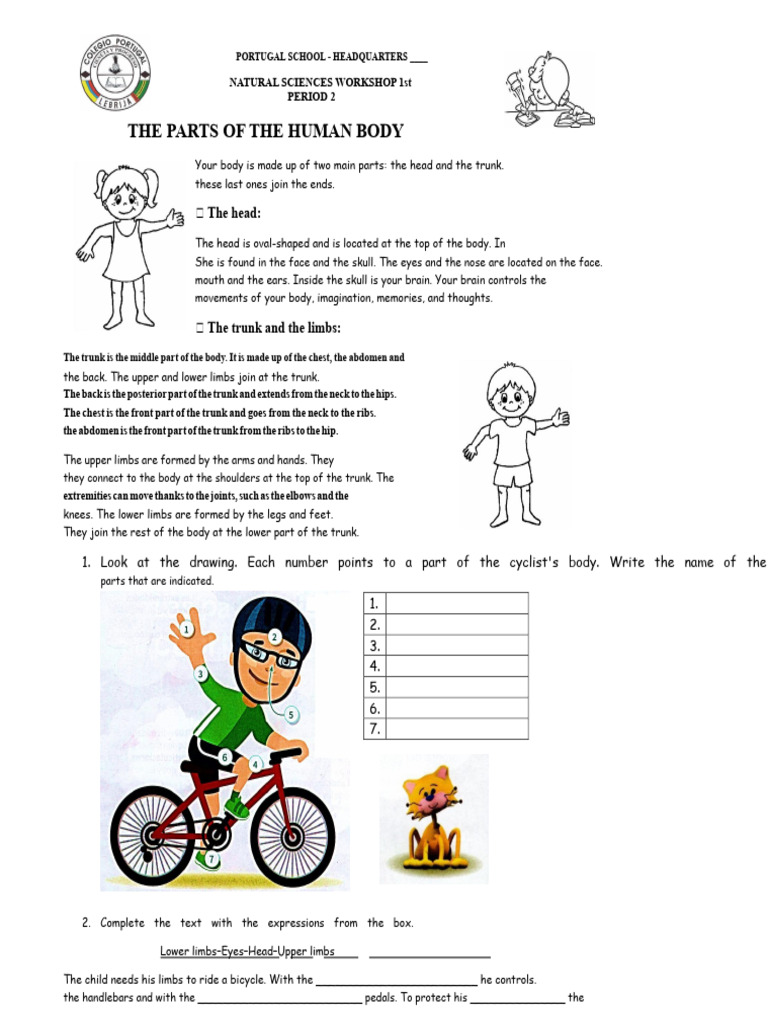 The Parts of The Human Body Grade 1 | PDF | Taste | Senses