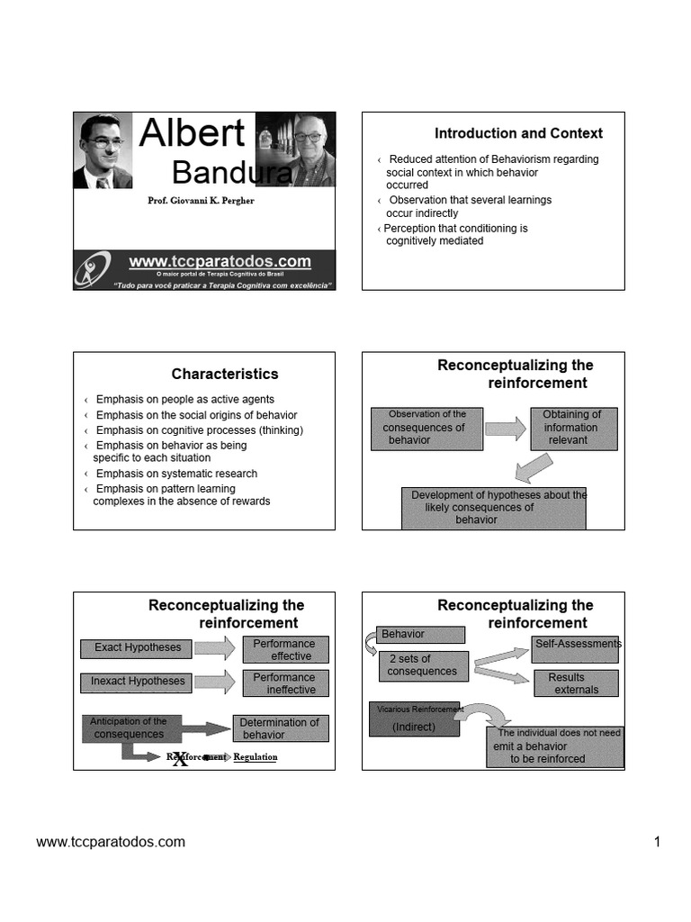 Observational Learning and Behavior Dynamics | PDF | Learning | Behavior
