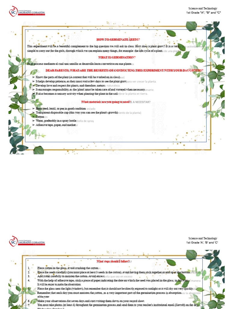 Germination Experiment-1 | PDF | Seed | Germination