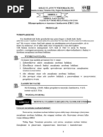 Bilans (Wzór Według UoR W Układzie Dwujęzycznym) - Żółte | PDF