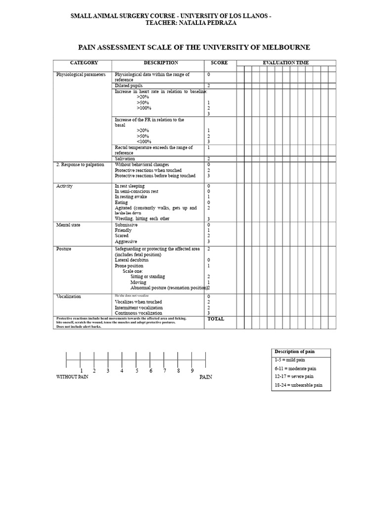 Melbourne Pain Scale | PDF | Clinical Medicine | Diseases And Disorders