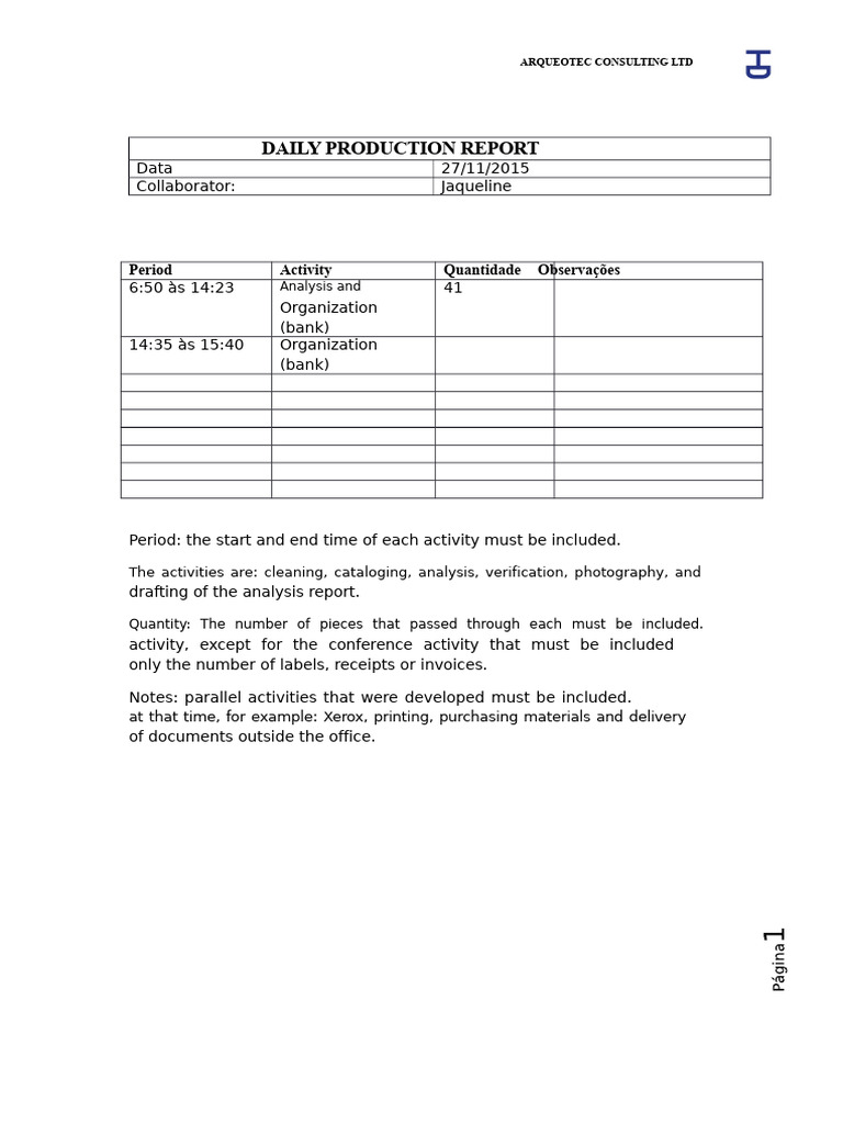 Daily Production Report | PDF