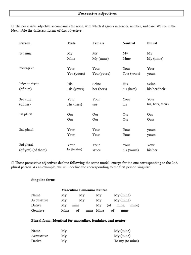 GERMAN - Possessive Adjectives | PDF | Grammatical Gender | Grammatical ...