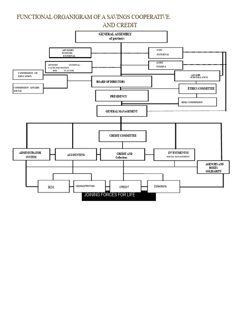 Savings Cooperative Organizational Chart | PDF | Leadership | Corporate ...