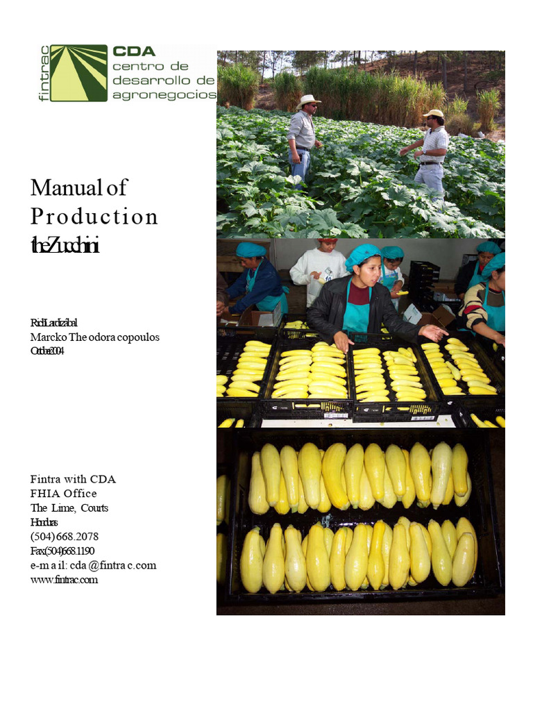 CDA Fintrac Manual Zucchini Production 08 04 | PDF | Pesticide | Pest ...