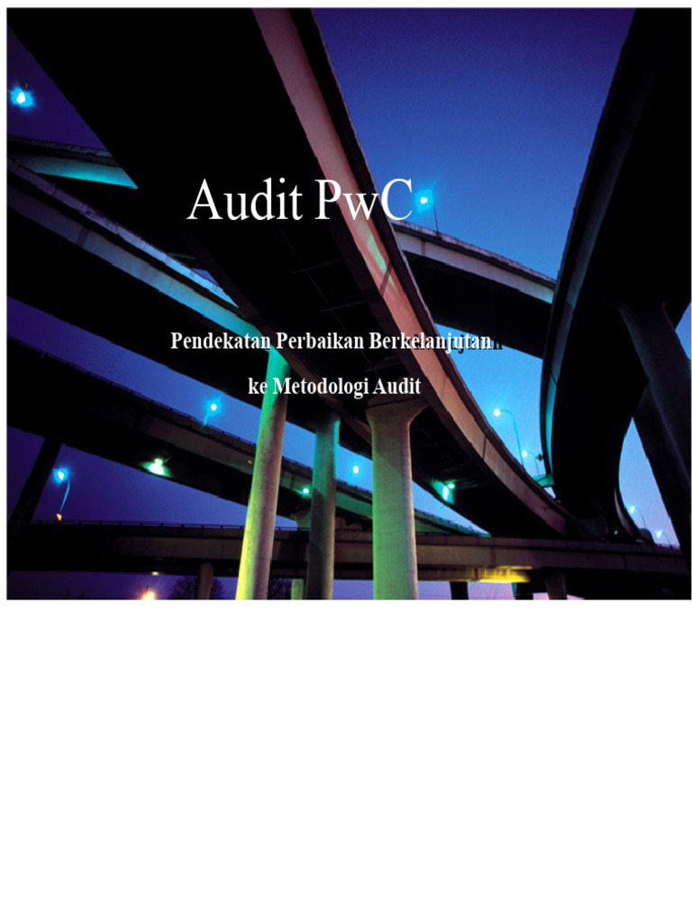 Presentasi Audit PwC - 011704.ppt | PDF