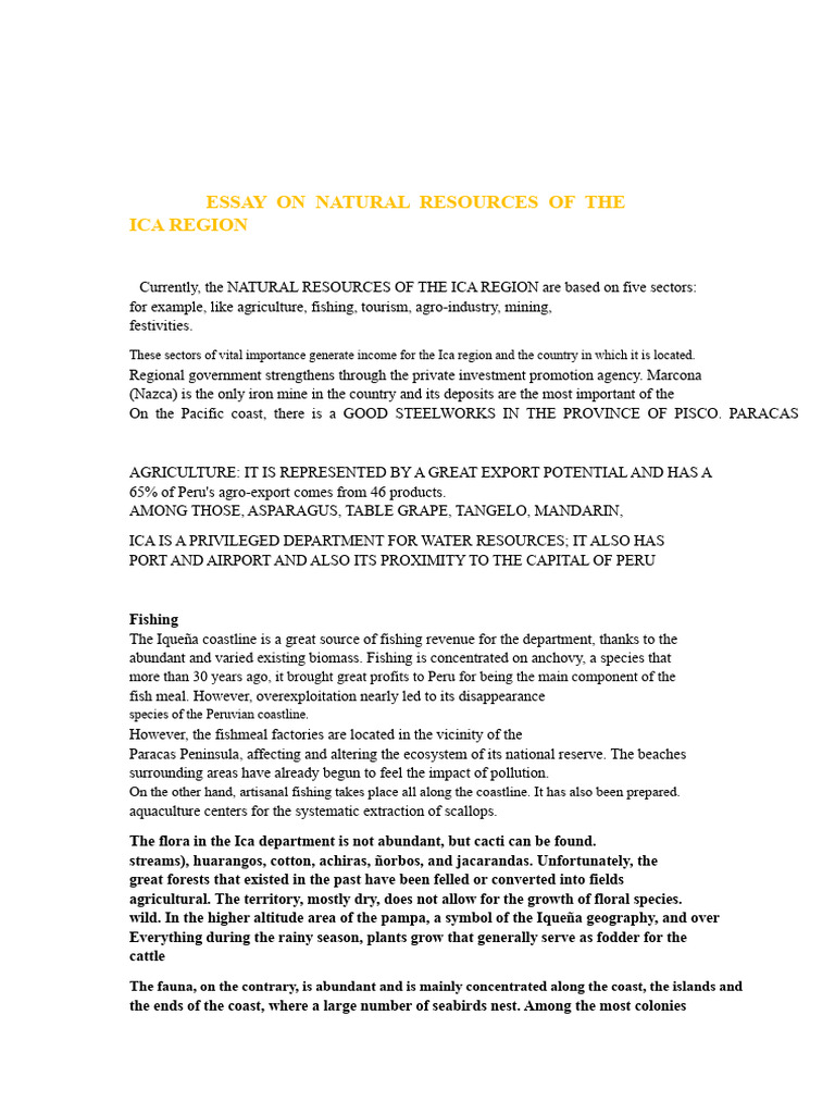 Essay On The Natural Resources of The Ica Region | PDF | Coast | Peru