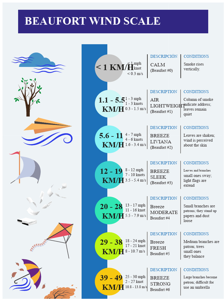 Beaufort Wind Scale Infographic | PDF | Natural Events | Meteorology