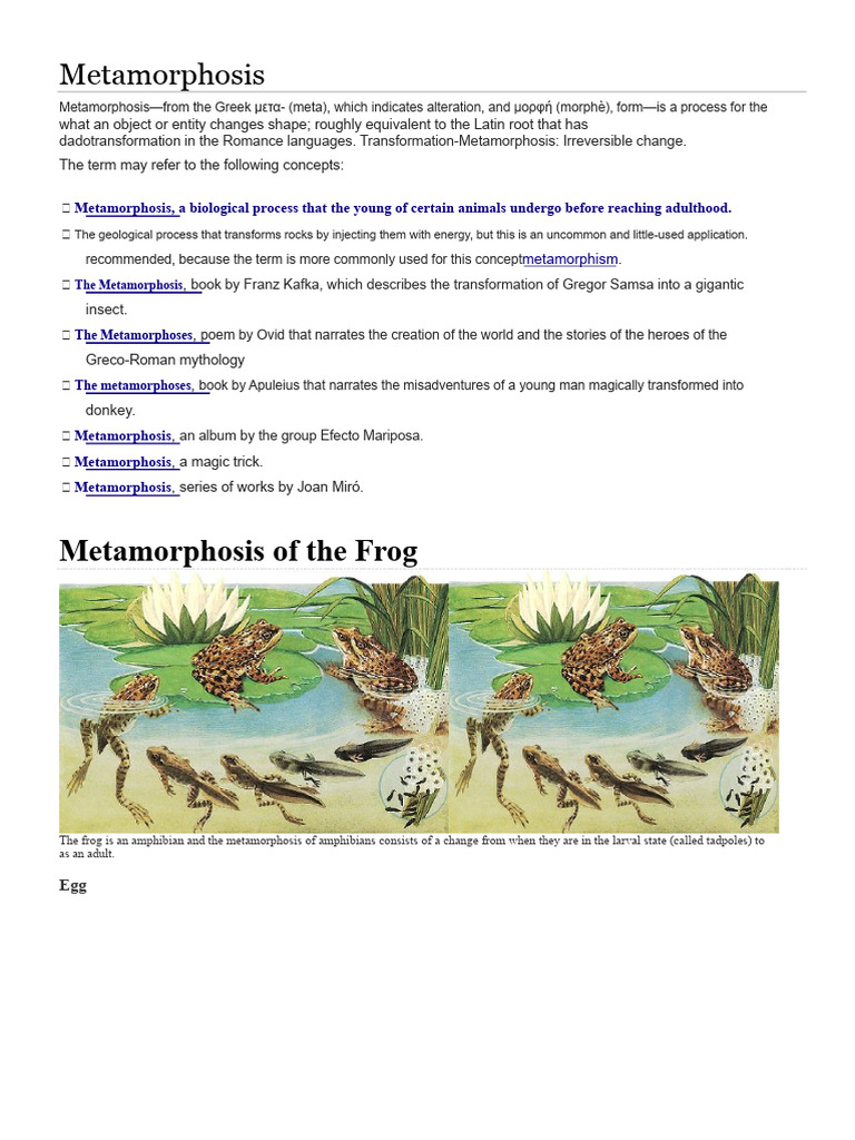 Metamorphosis | PDF