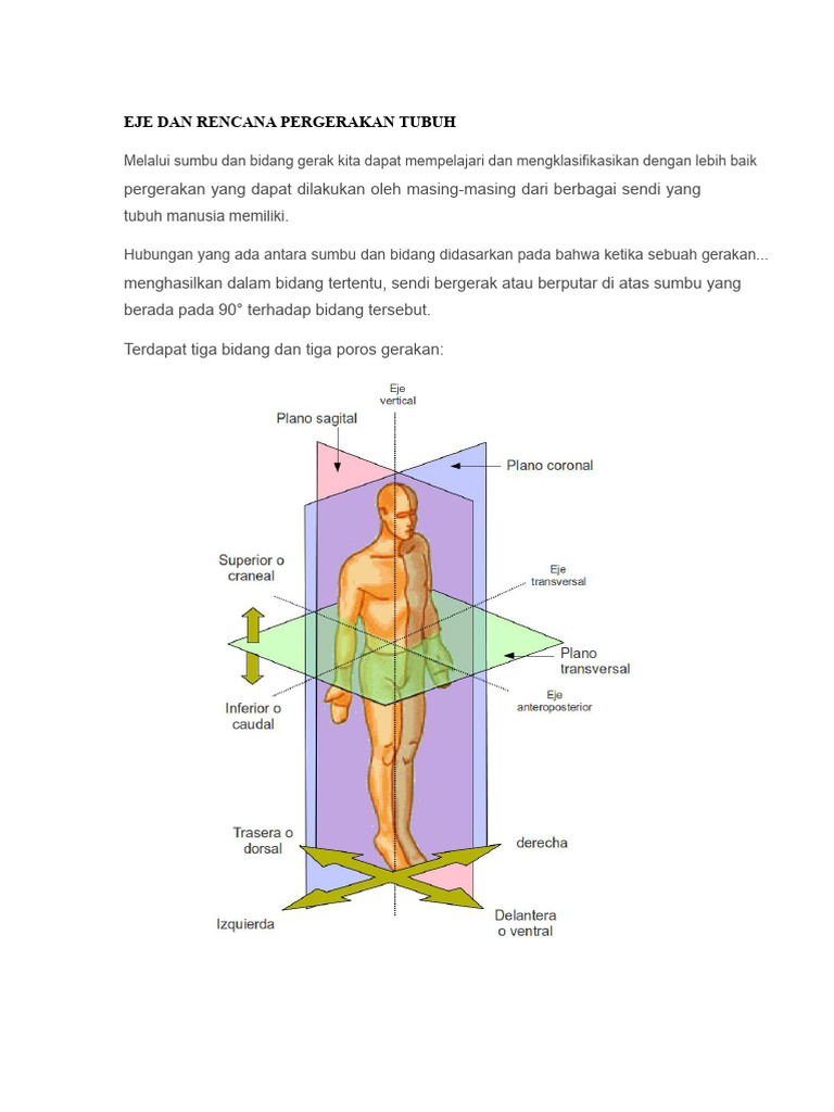 Gerakan Tubuh: Sumbu dan Bidang | PDF
