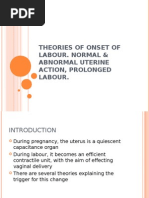 WHO Partograph Example | PDF | Public Health | Human Reproduction