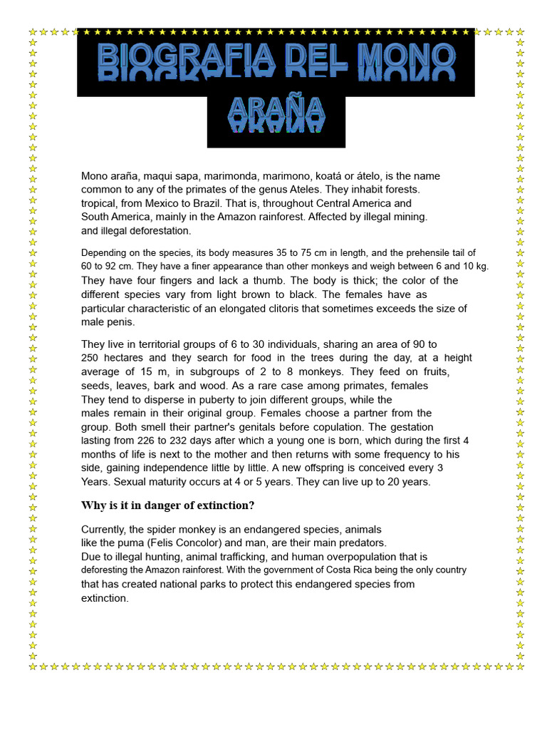 Biography of The Spider Monkey | PDF | Zoology
