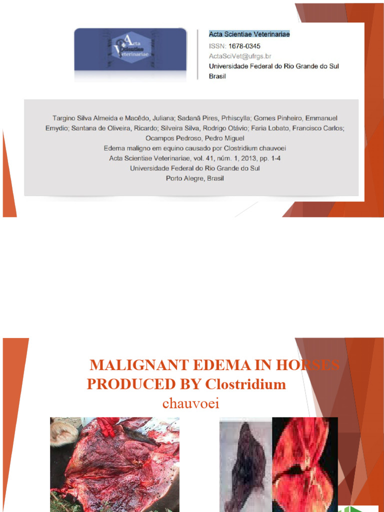 Malignant Edema | PDF