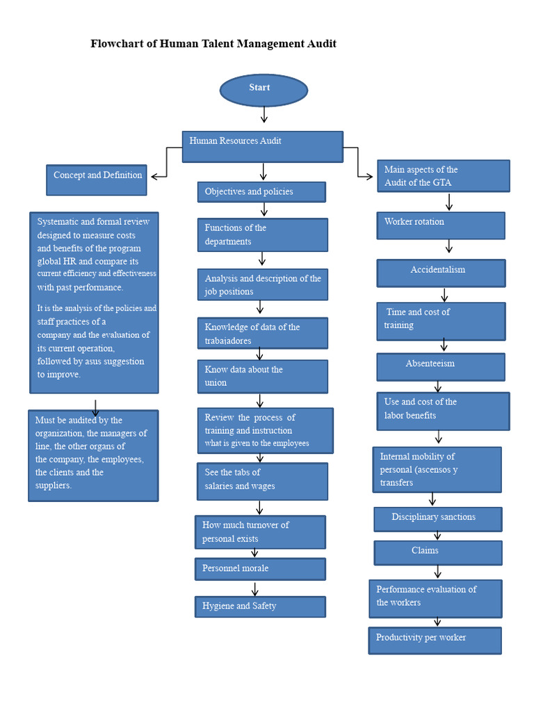 Flowchart of Human Talent Management Audit | PDF | Human Resources | Employment