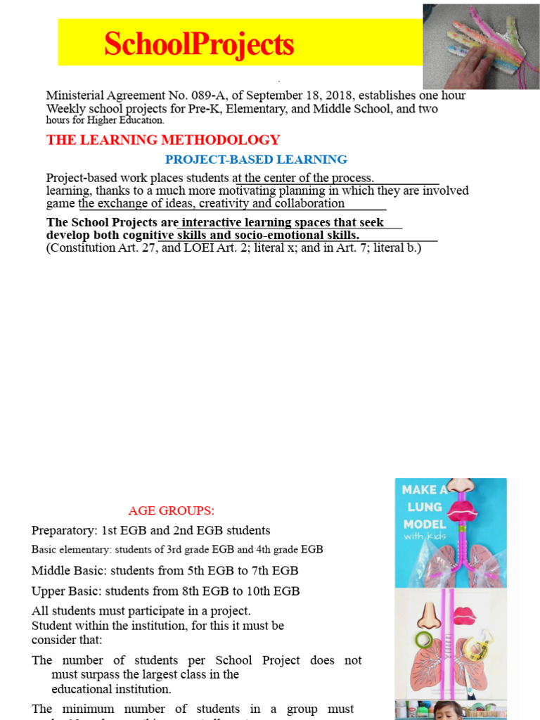 Project-Based Learning in Schools | PDF | Interdisciplinarity | Methodology