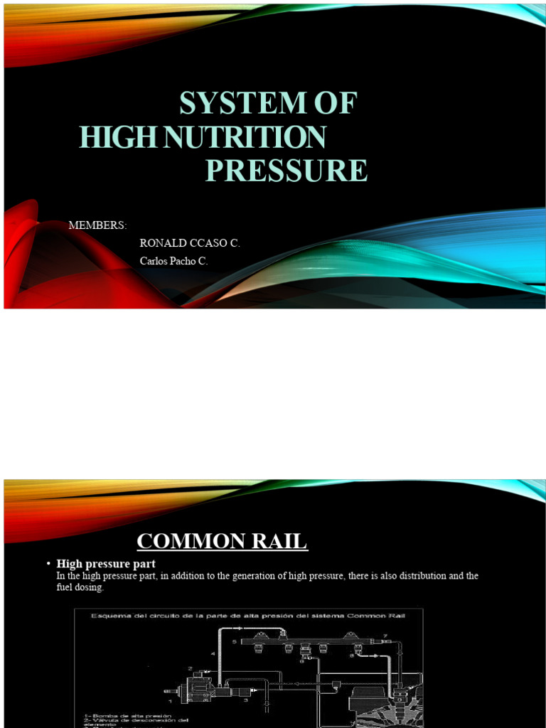 High Pressure Feeding System | PDF | Pump | Valve