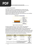 (AC-S07) Week 07 - Pre-Task_ Quiz - Weekly Quiz _ ENGLISH III (14653) | PDF | Linguistics | Syntax