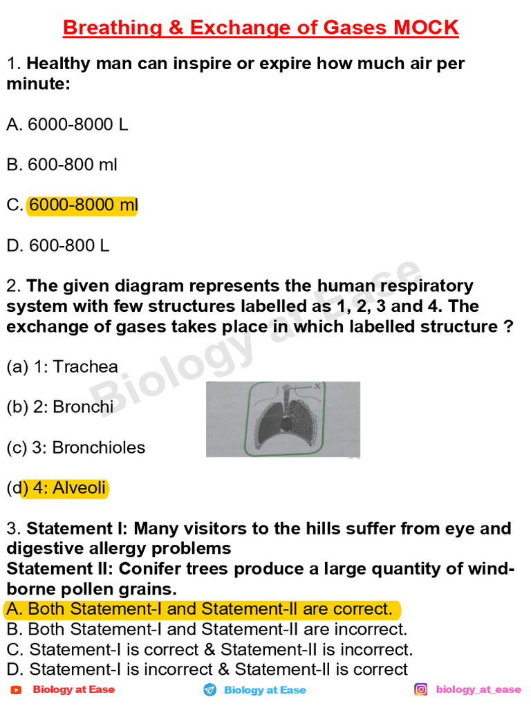 Breathing & Exchange of Gases MOCK | PDF | Respiratory System | Lung