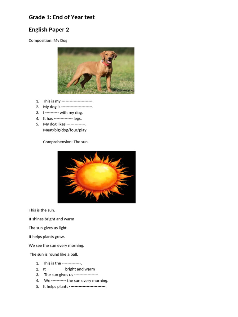 Grade 1 English Test: My Dog & The Sun | PDF
