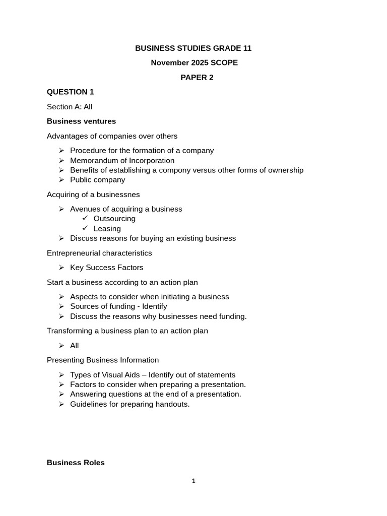 Grade 11 Business Studies Scope 2025 | PDF