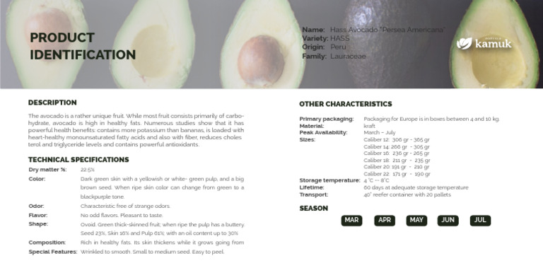 Data Sheet Hass Avocado | PDF | Avocado | Edible Fruits