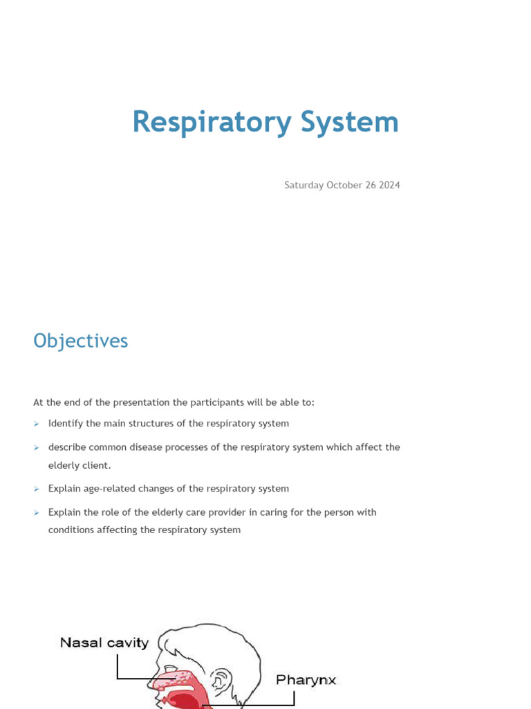 Respiratory System Lecture Pdf