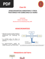 Hemosiderina y Hemosiderosis: Diagnóstico y Efectos | PDF