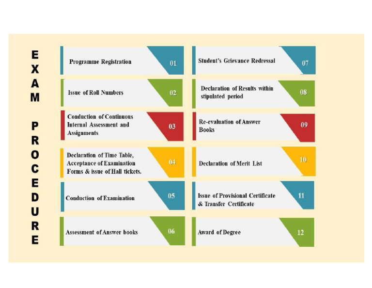 Exam Procedure | PDF