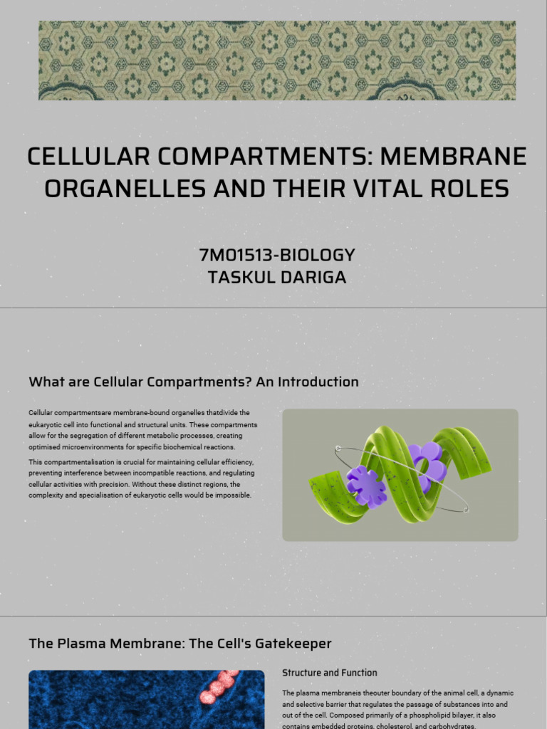 Cellular Compartments Membrane Organelles and Their Vital Roles.pdf ...