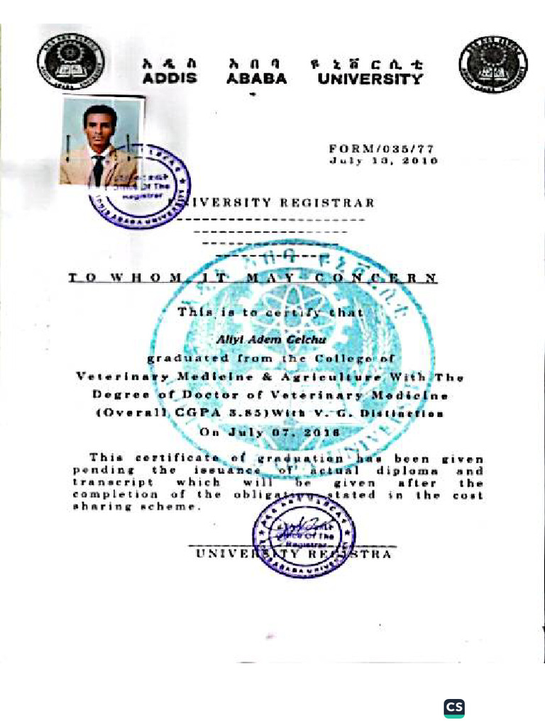 First Degree Temporary Certificate (July 2016) | PDF