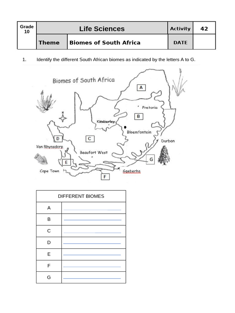 South African Biomes Identification Activity | PDF
