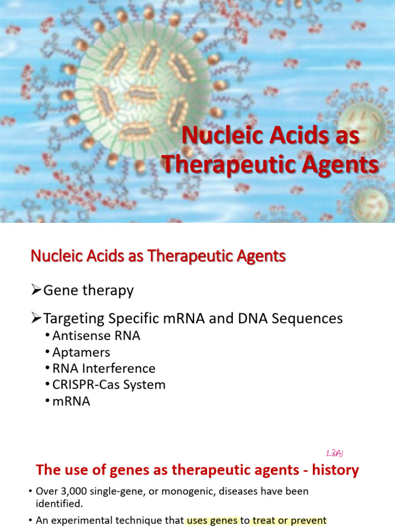 MBTE 3510 - Nucleic Acids As Therapeutic Agents | PDF | Rna ...