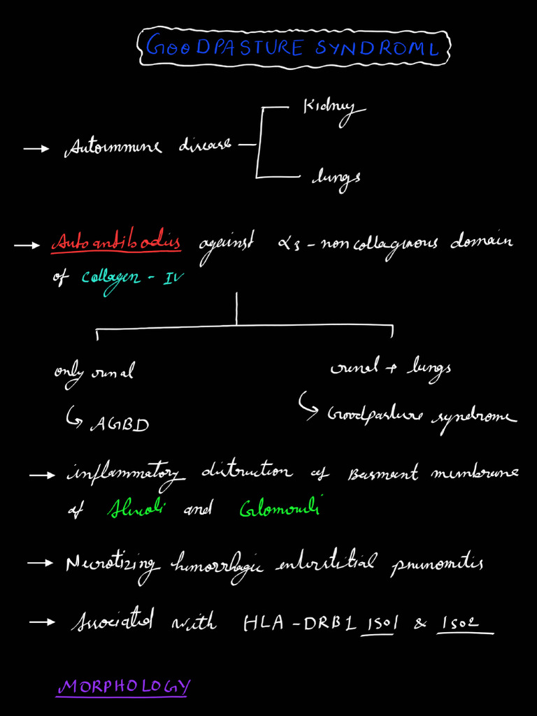 Goodpasture Syndrome | PDF
