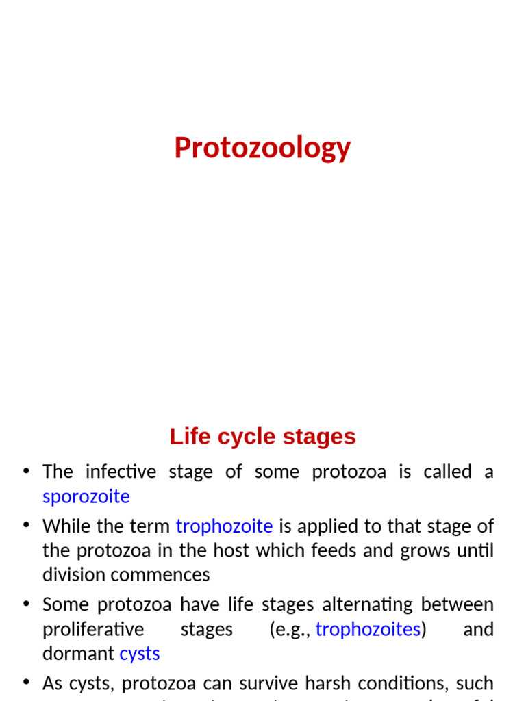 Introduction 2 | PDF | Protozoa | Biological Interactions