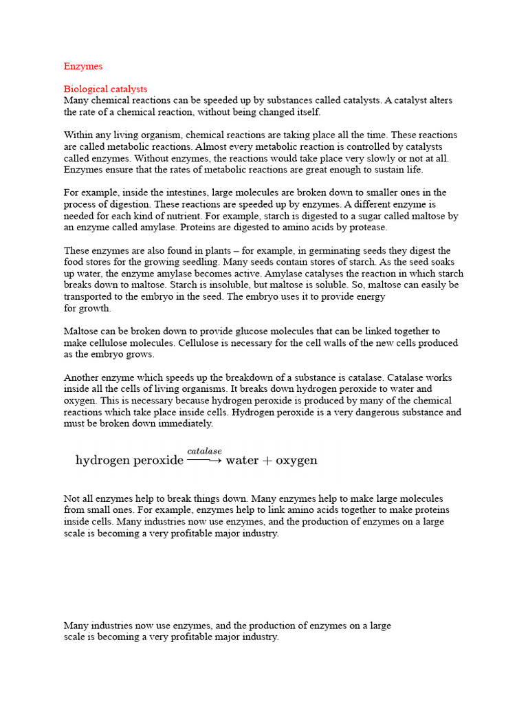 Enzymes | PDF | Enzyme | Active Site