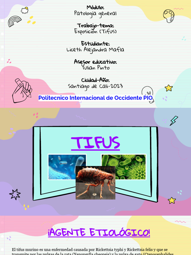 Tifus: Causas, Síntomas y Tratamientos | PDF | Enfermedades y ...