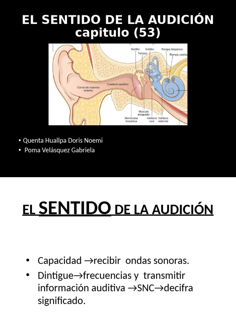 Sentido de La AUDICION | PDF | Escuchando | Anatomía