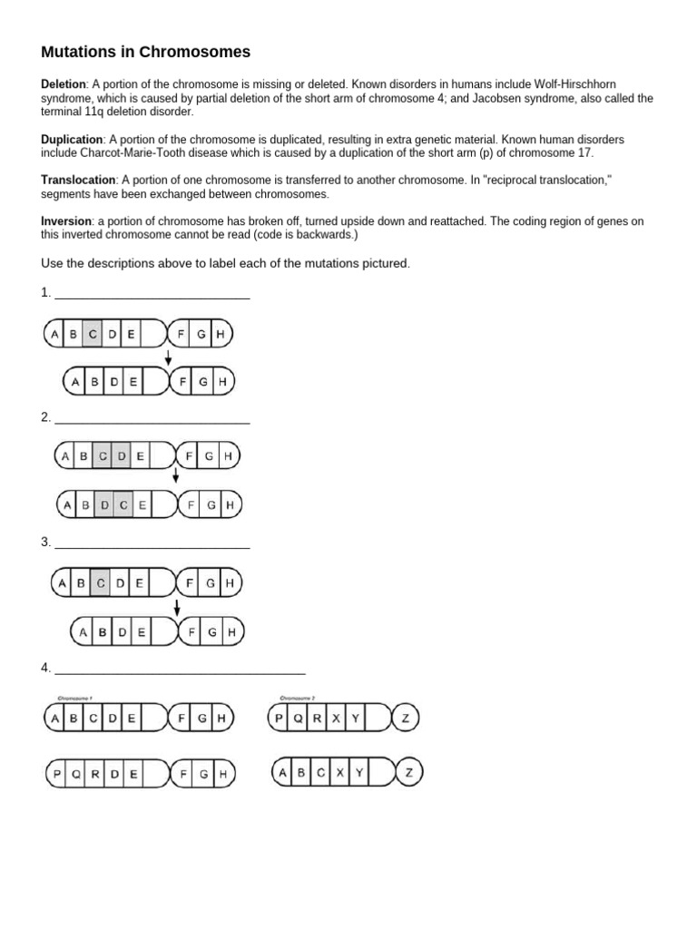 Mutations in Chromosomes | PDF