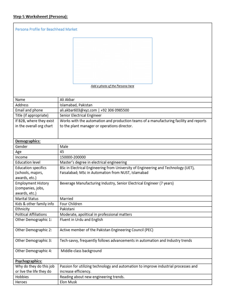 Persona Profile: Senior Electrical Engineer | PDF | Automation