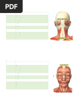 Anatomía de la región superciliar | PDF | Anatomía humana | Cabeza y ...