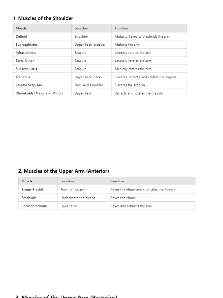 Upper Limb All Muscles Names | PDF
