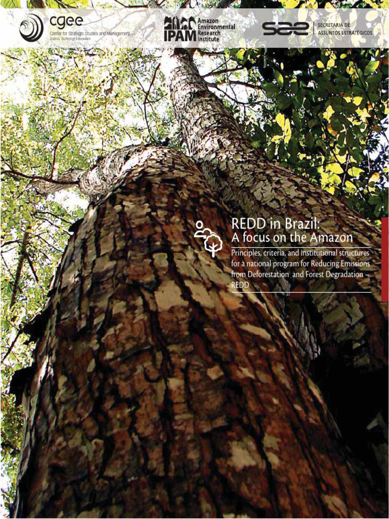 REDD in Brazil - A Focus On The Amazon (IPAM) | PDF | Deforestation ...