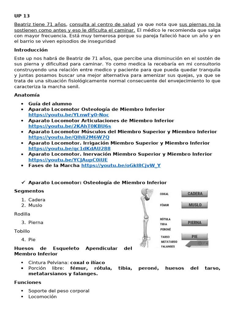 UP 13 - CyD | PDF | Cartílago | Articulación