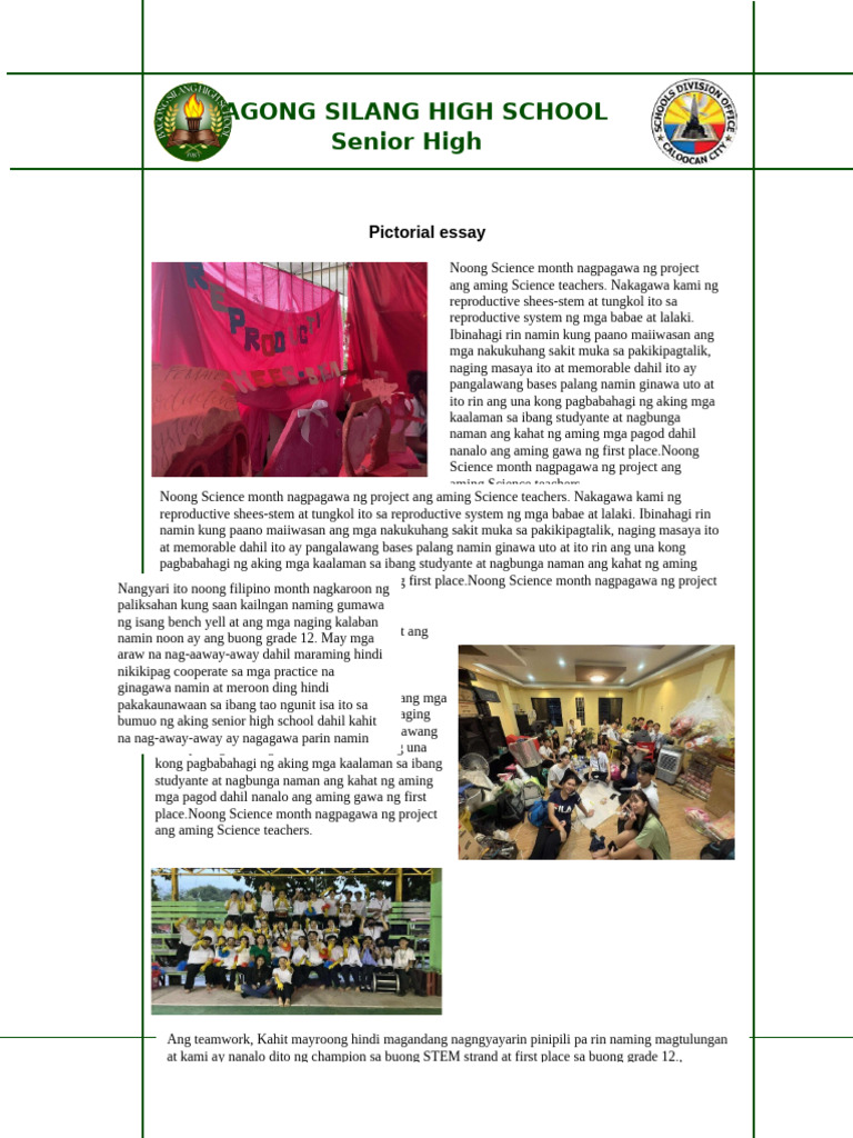 Pictorial Essay | PDF