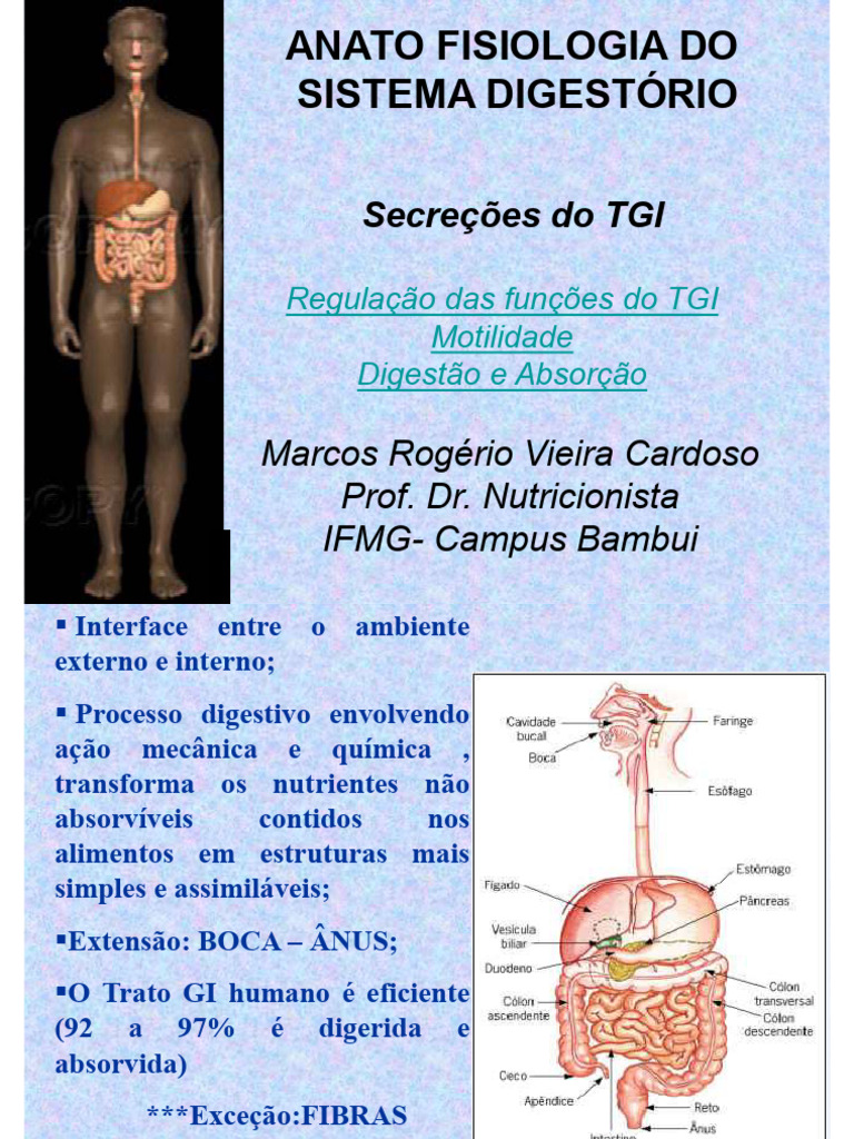 Trato Gastro Intestinal 241114 184132 | PDF | Intestino delgado | Trato ...
