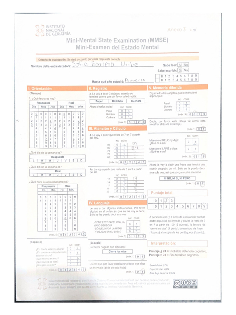Mini-Mental State Examination (MMSE) | PDF