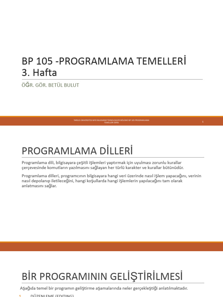 Programlama Temelleri 3.hafta | PDF