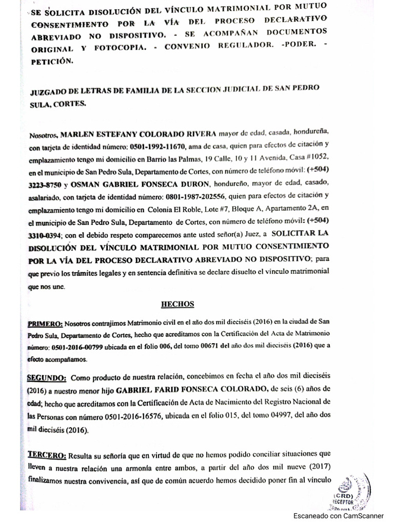 Demanda Mutuo Consentimiento | PDF