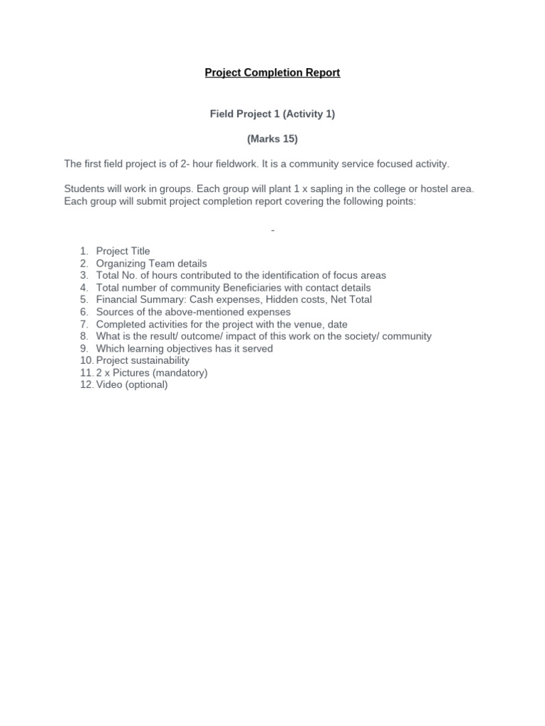 Project Completion Report | PDF